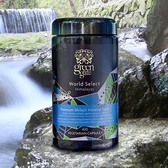 WORLD SELECT HIMALAYAS SHILAJIT – Vitamin Planet